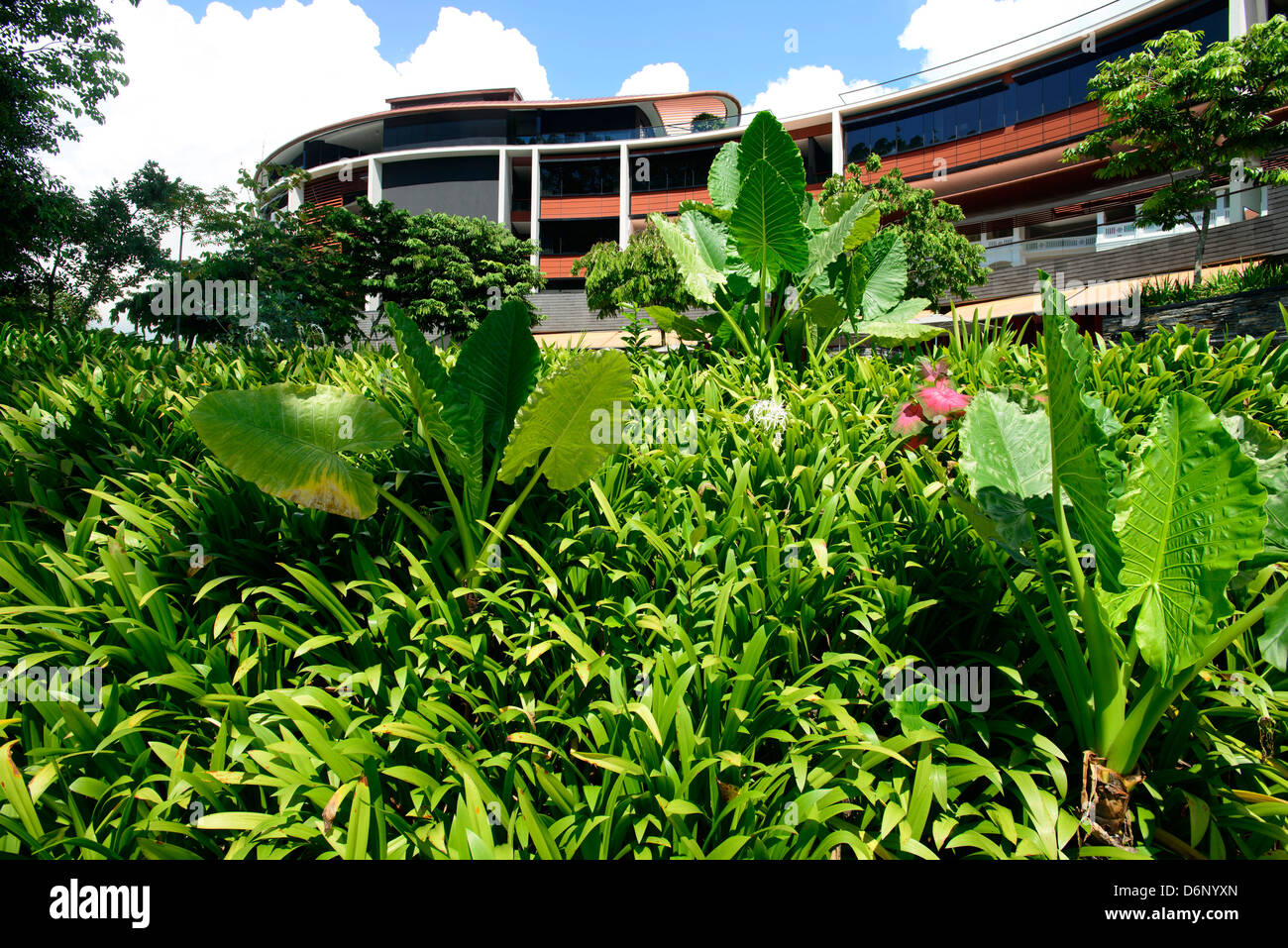 Capella Hotel, Sentosa Island, Singapore, Singapore. Architect: Foster ...