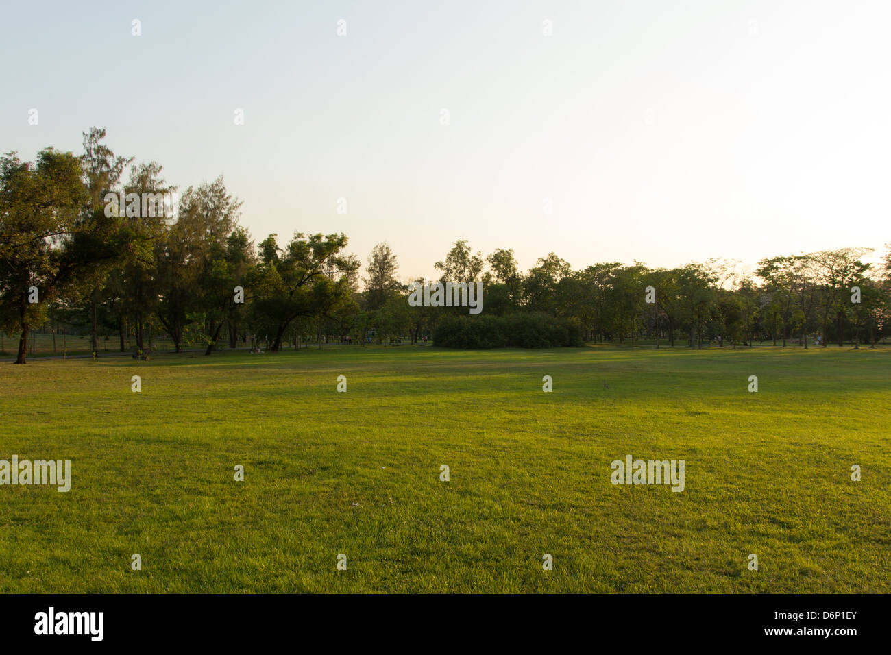 Vibrant parkland scene in hi-res stock photography and images - Alamy