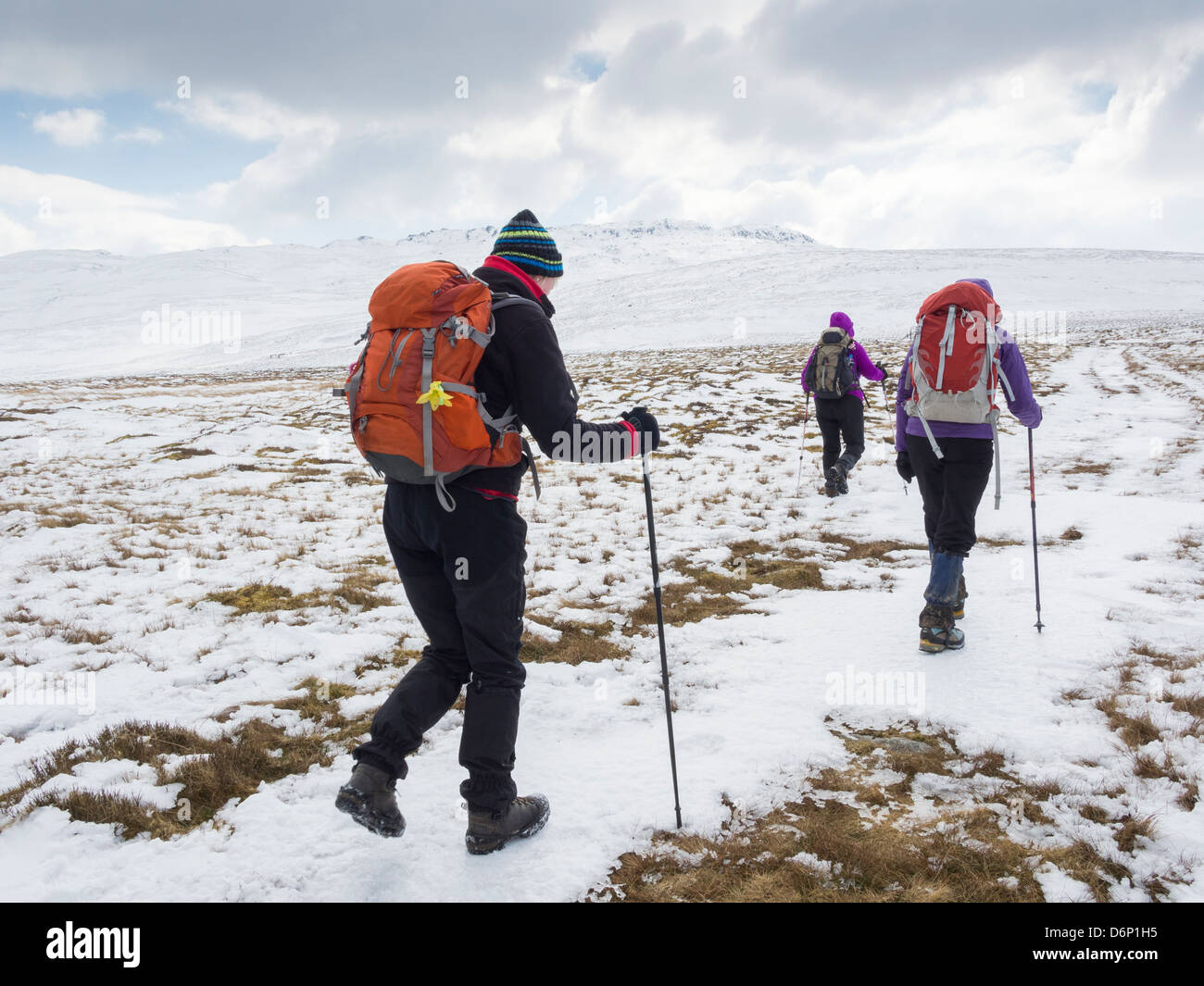 Women backpacks walk on hill hi-res stock photography and images - Alamy