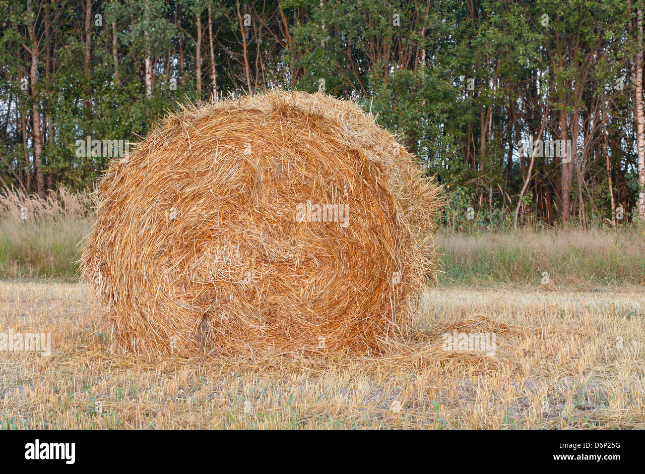 Wind farm filed in hi-res stock photography and images - Alamy