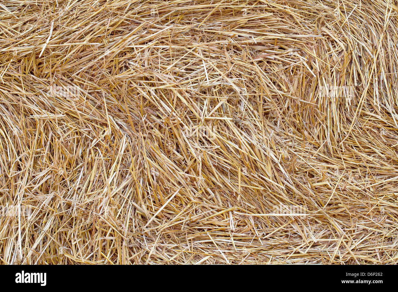 dry yellow hay background Stock Photo - Alamy