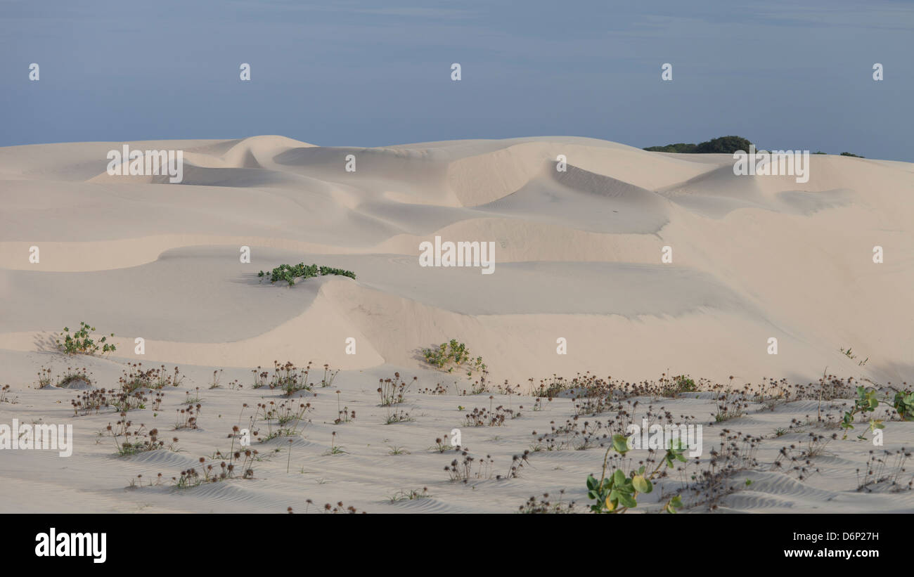 Sand mountain ripples desert hi-res stock photography and images - Alamy
