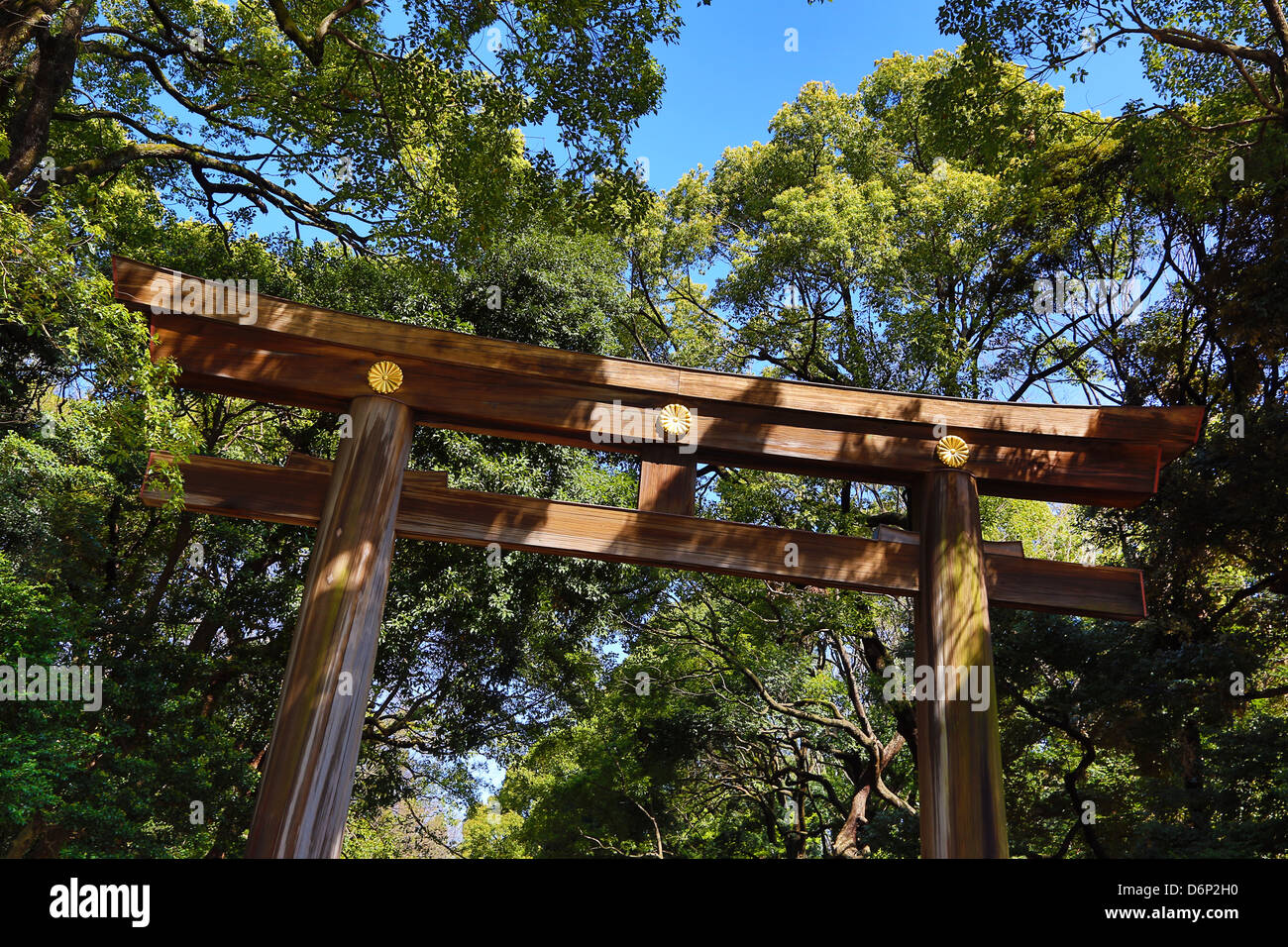 Torii gate at the entrance of the Meiji Shrine in Yoyogi Park in ...