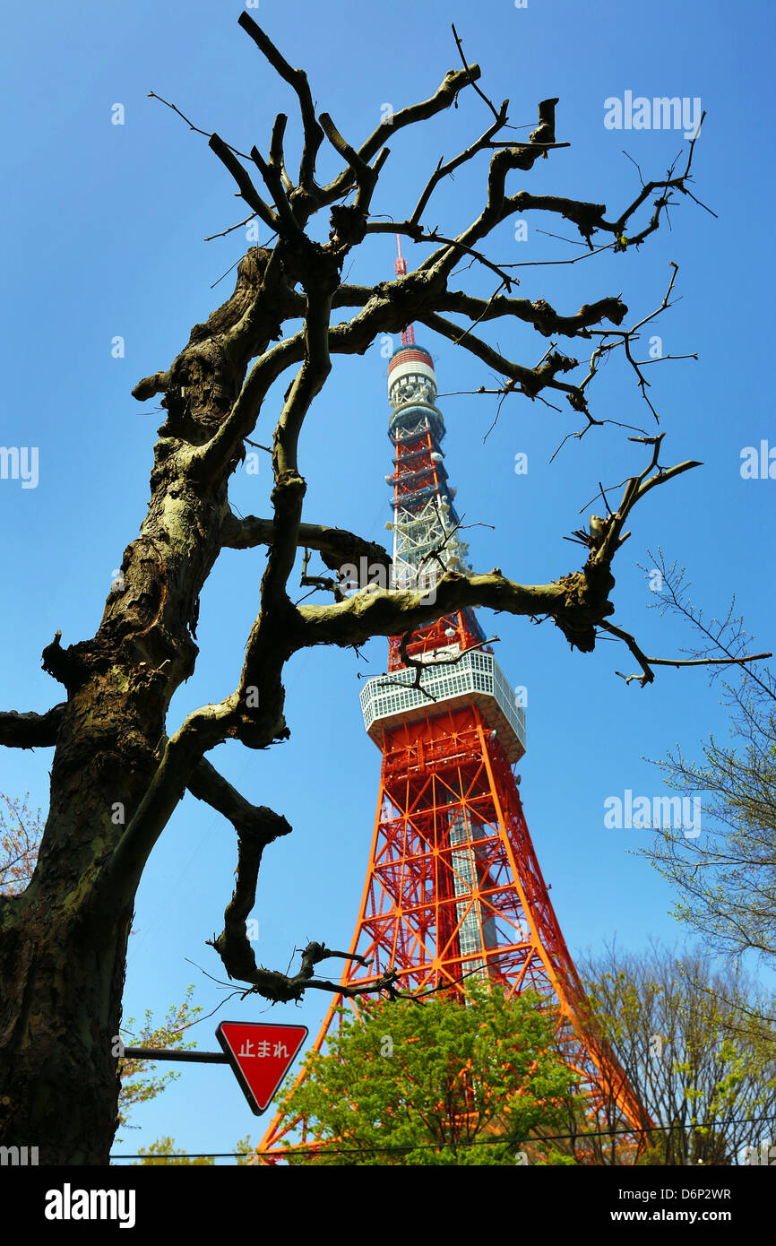 Tokyo tower tree branches hi-res stock photography and images - Alamy