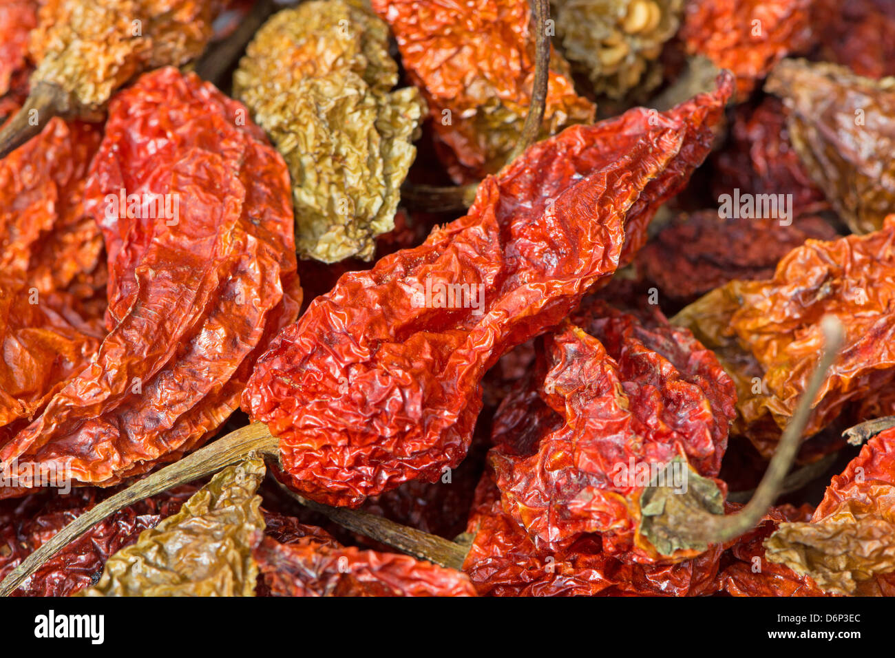 Dried Bhut Jolokia chillies (also known as Naga Jolokia, Ghost Naga etc ...