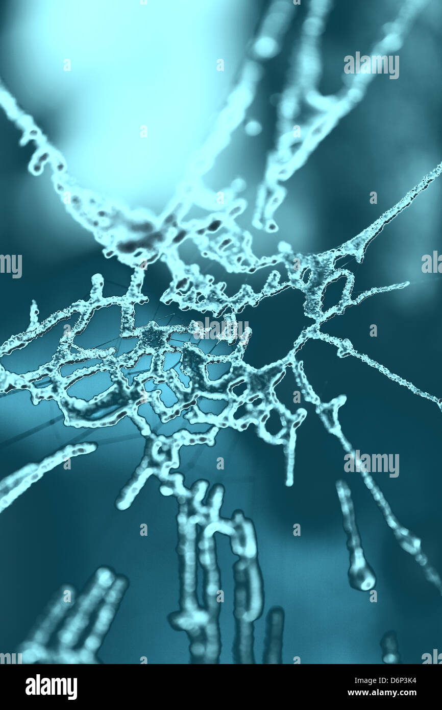 Frozen cobwebs hi-res stock photography and images - Alamy