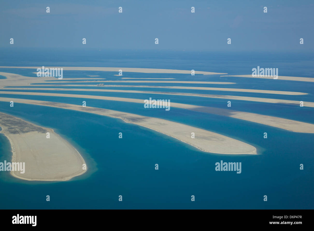 Palm Deira