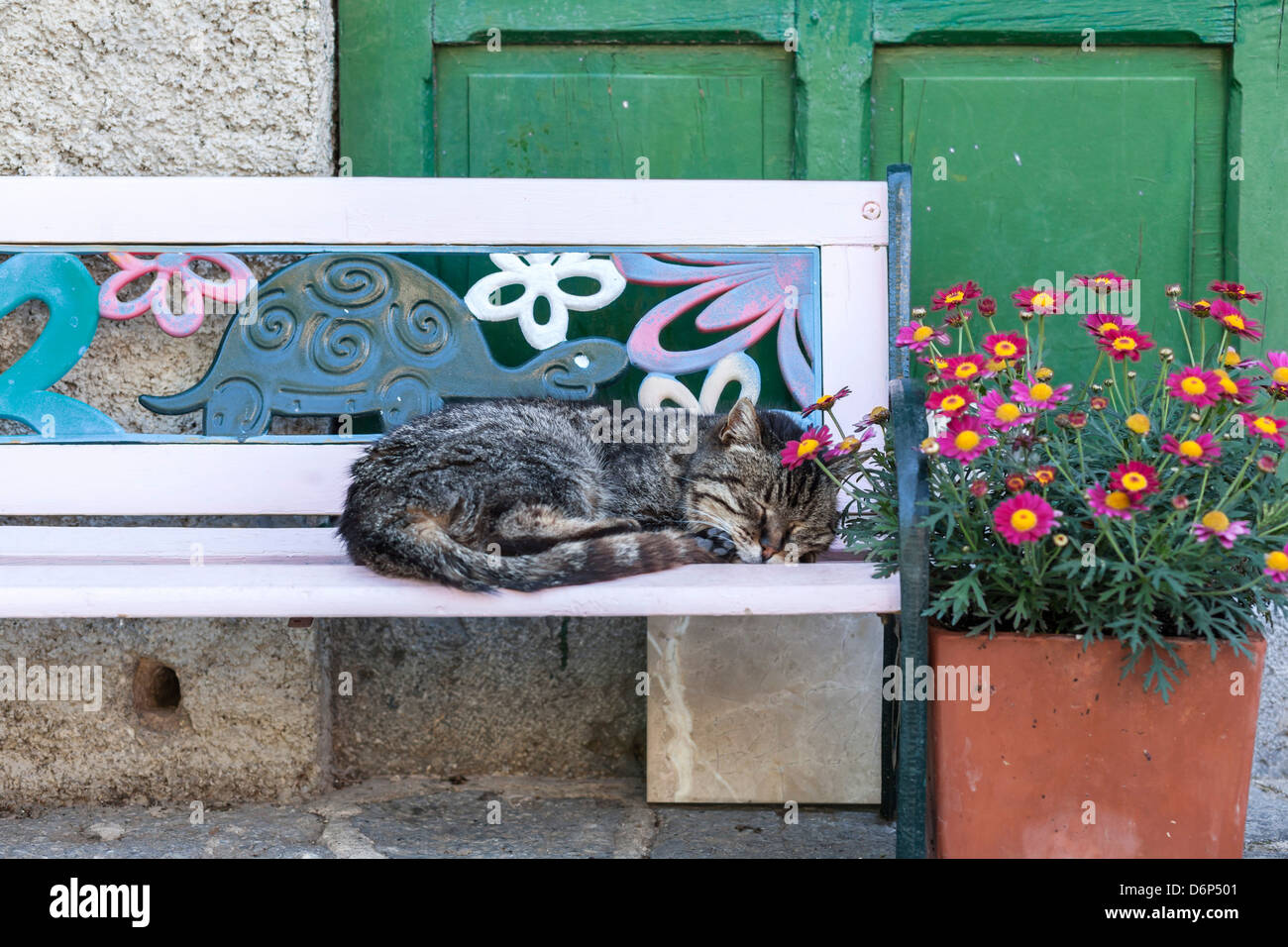 Bench next sea hi-res stock photography and images - Alamy