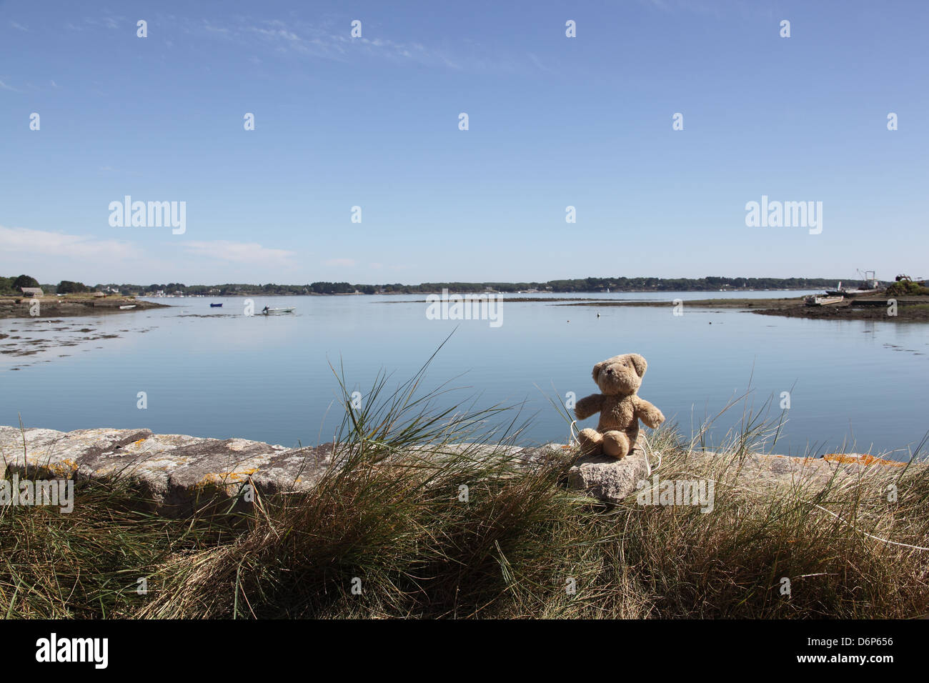A small teddy bear sat on a wall by the coastal path under a beautiful ...