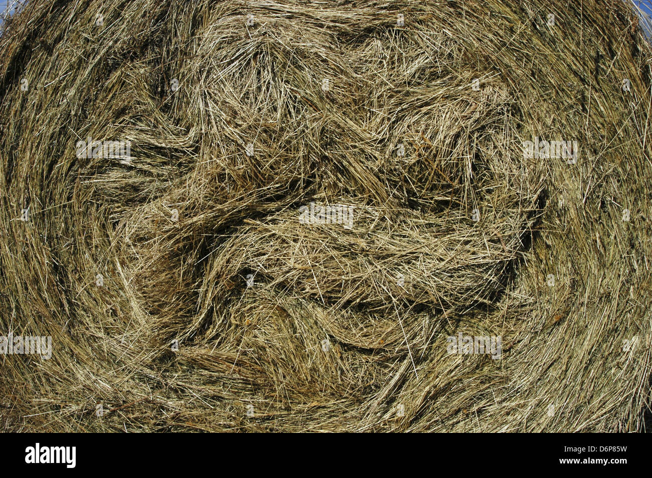 Strohrolle hi-res stock photography and images - Alamy