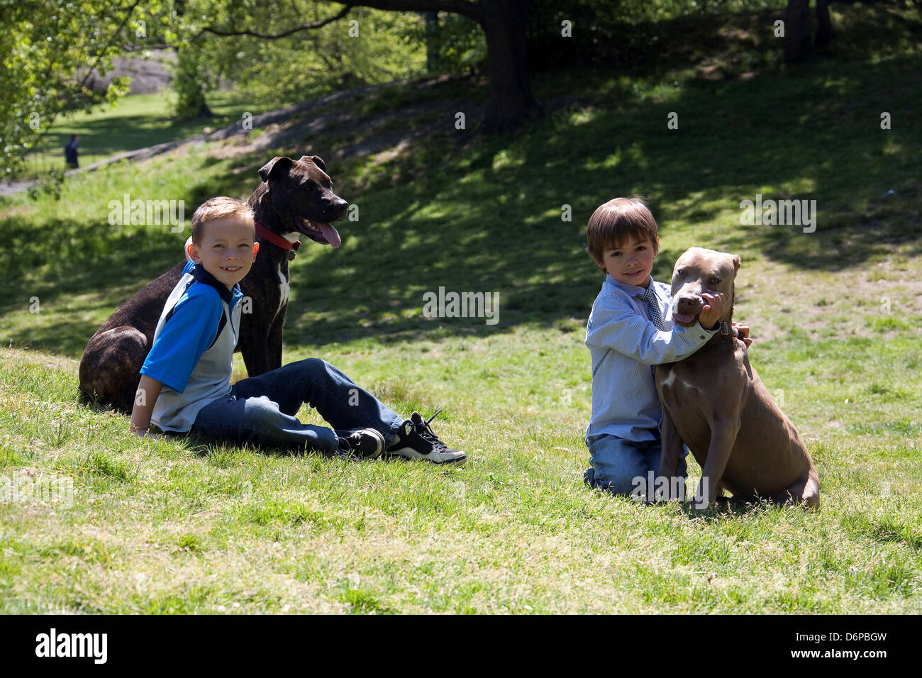 Boys with dogs in park Stock Photo - Alamy