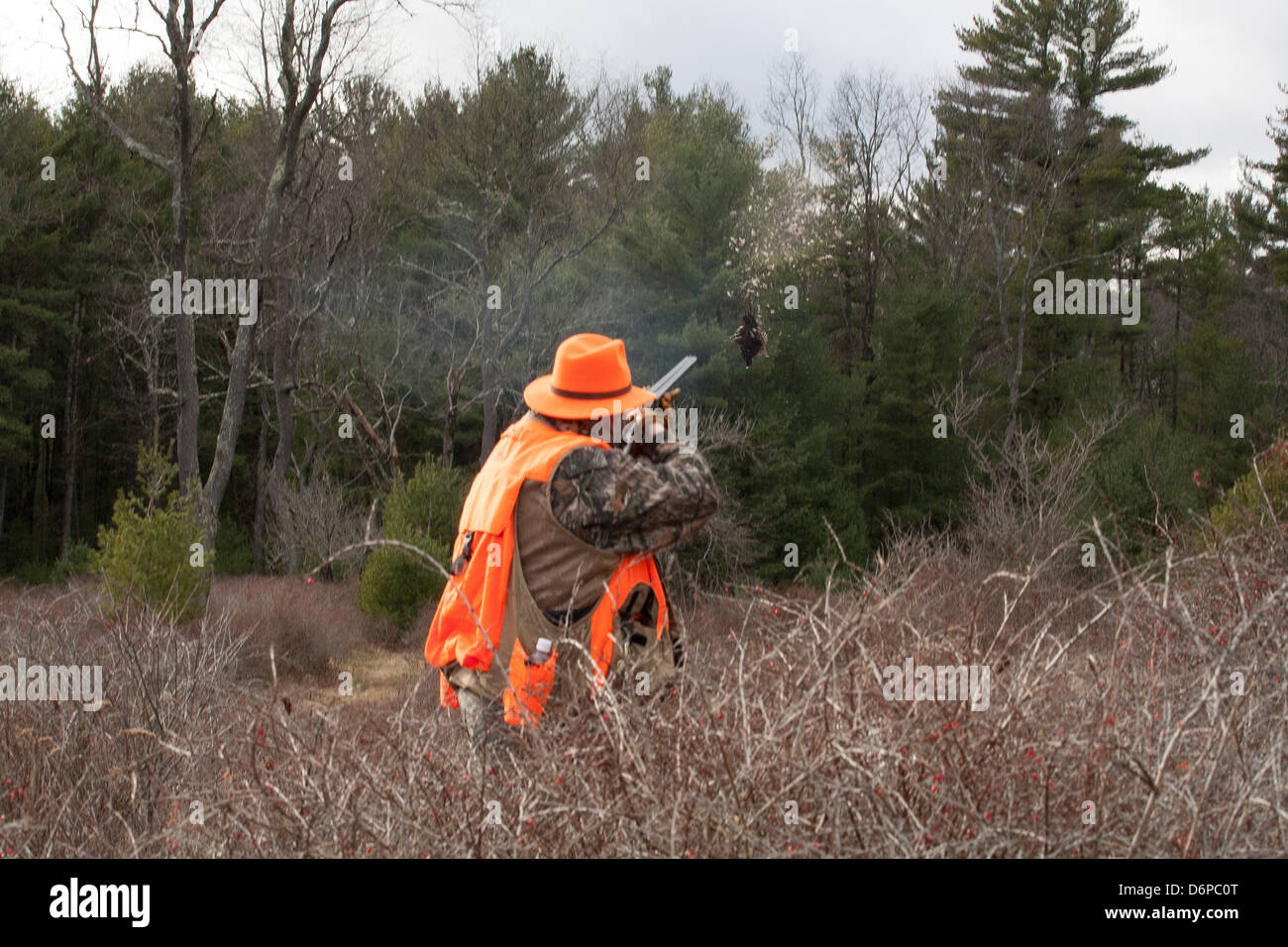 One man only and gun and rear hi-res stock photography and images - Alamy