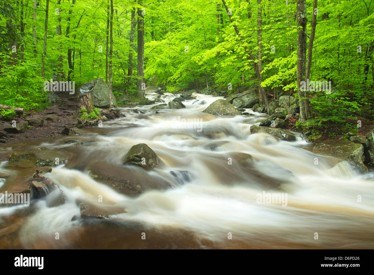 SPRINGTIME TORRENT KITCHEN CREEK RICKETTS GLEN STATE PARK LUZERNE ...
