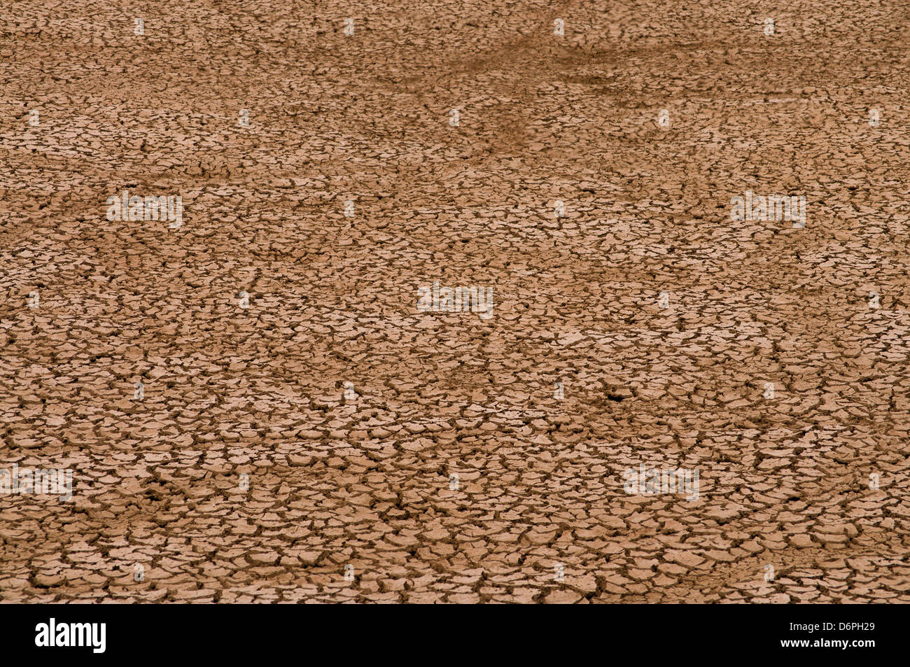 Soil texture hi-res stock photography and images - Alamy