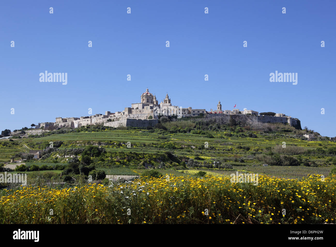 Malta, Mdina, UNESCO, city, spring flowers peaceful, harmonious, Malta ...