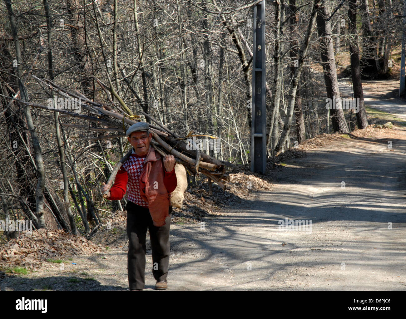 Man carrying fire wood Stock Photo - Alamy