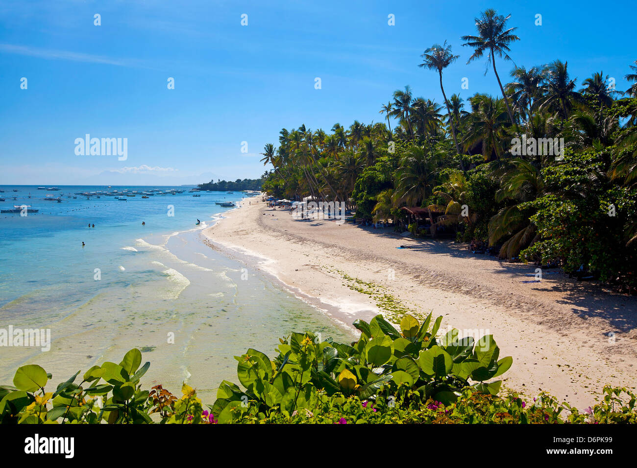 Panglao Island, Bohol Stock Photo - Alamy