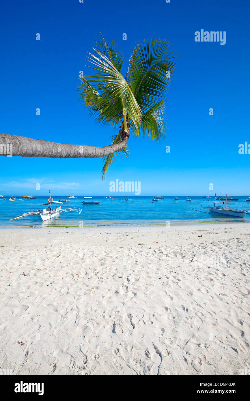 Panglao Island, Bohol Stock Photo - Alamy