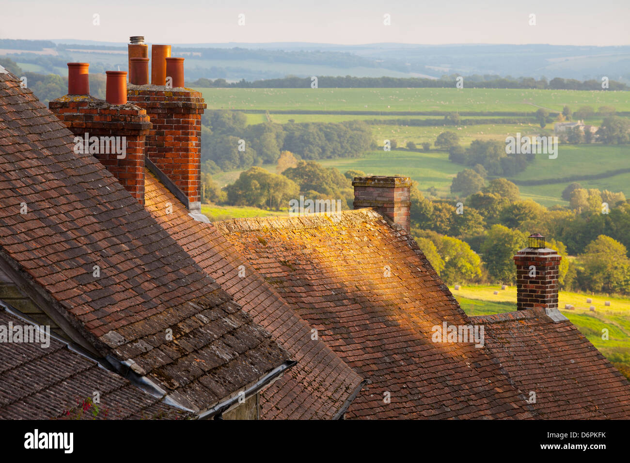 Rooftops of houses along Gold Hill, Shaftesbury, Dorset, England ...