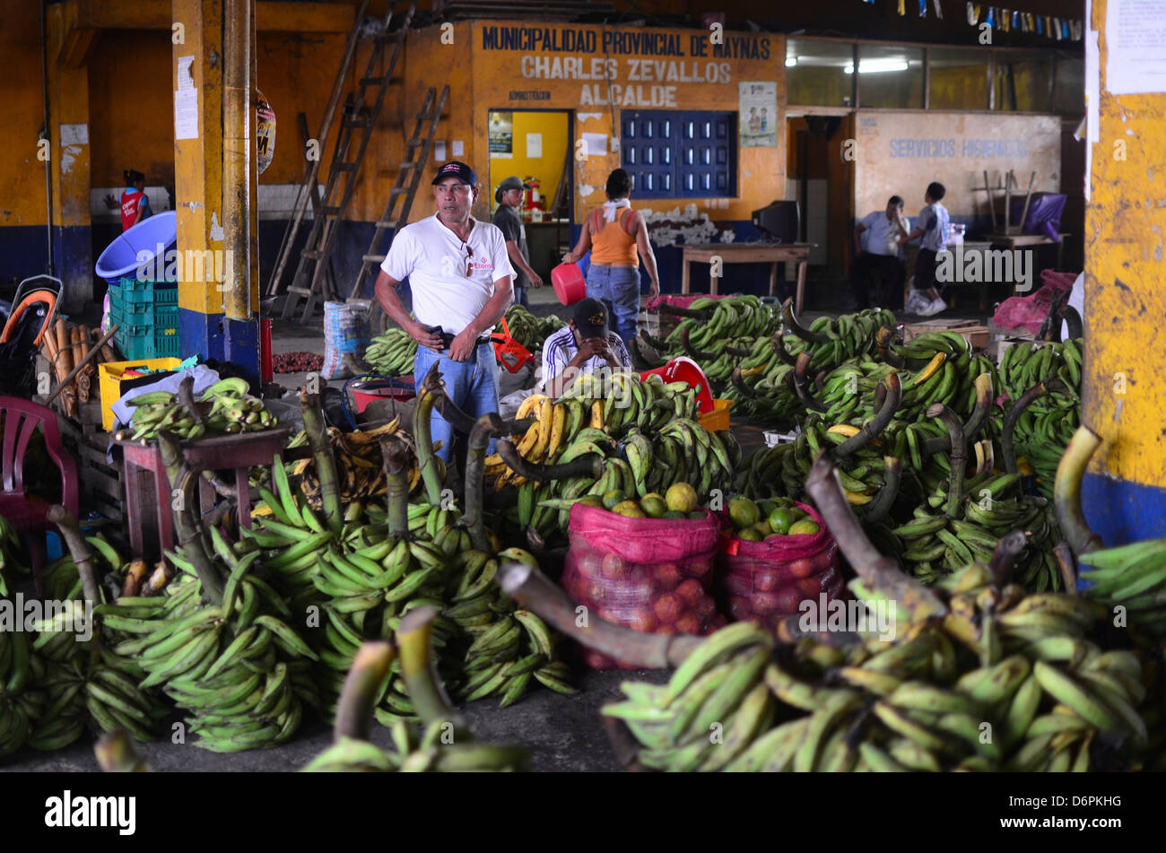 Bananas on sale in the Amazon producers market, Iquitos, Peru Stock ...