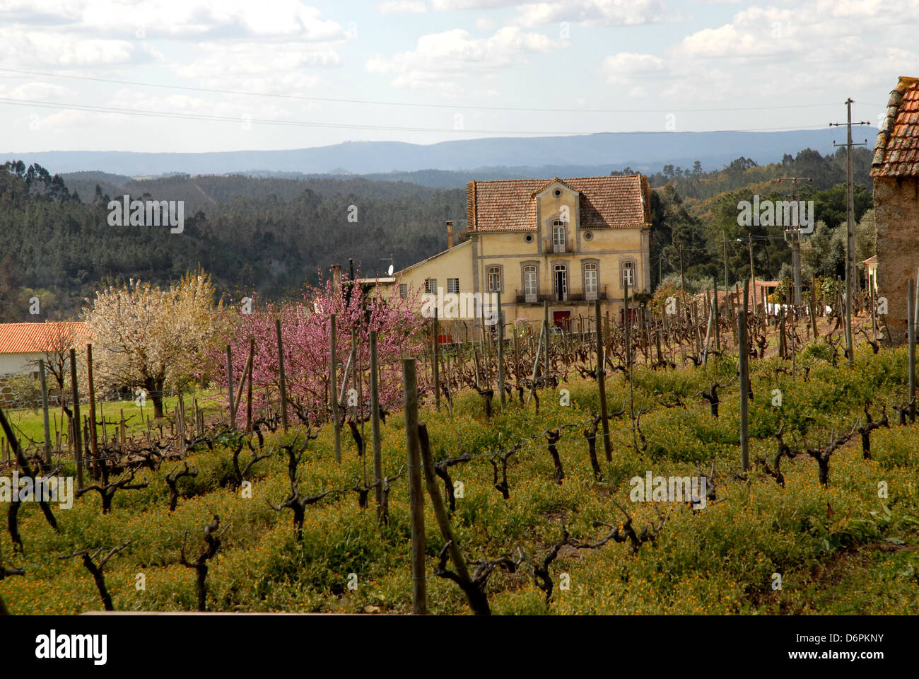 Buildings and Landscapes Portugal Stock Photo - Alamy