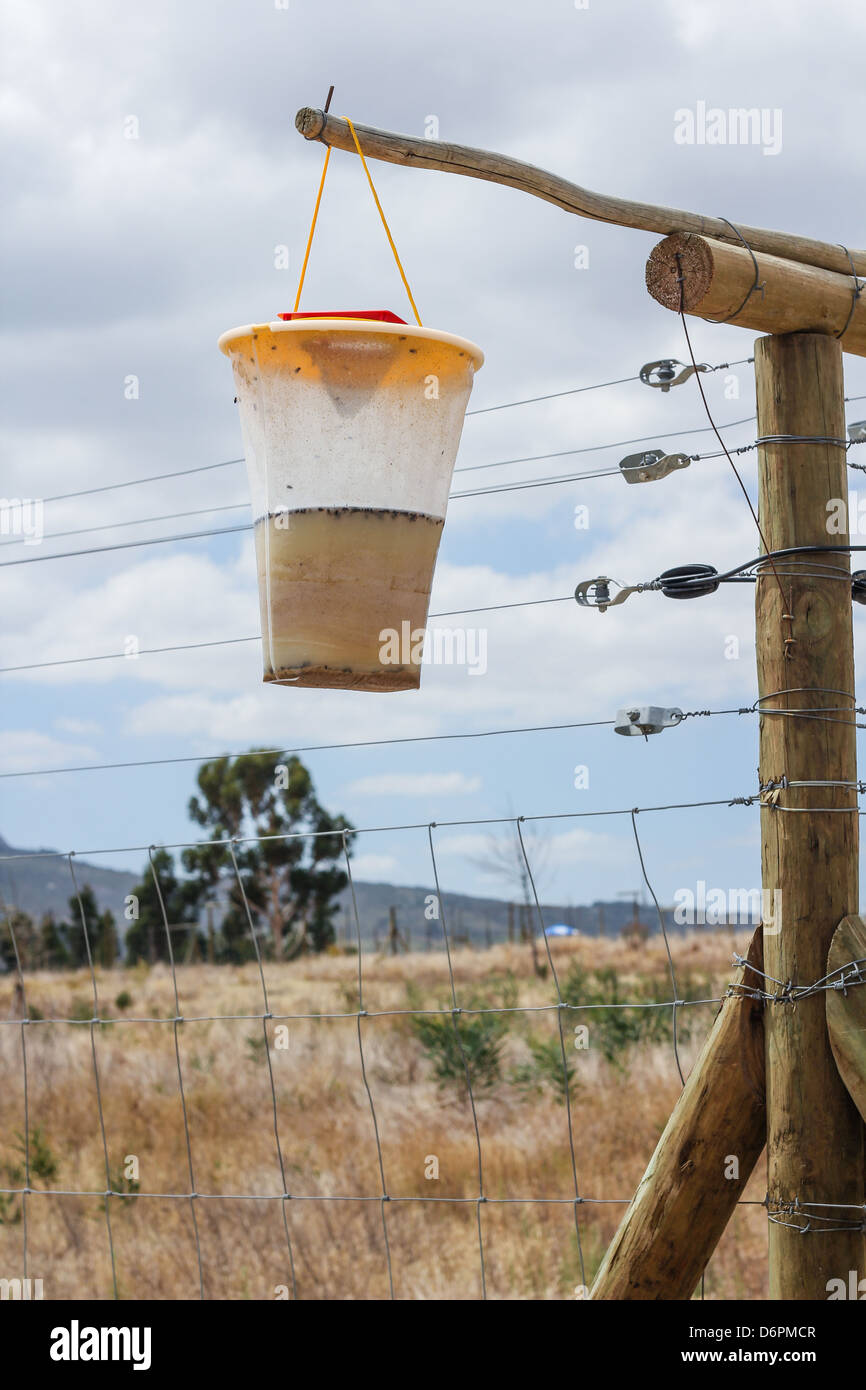 Fly Trap hanging on a electrical fence Stock Photo - Alamy