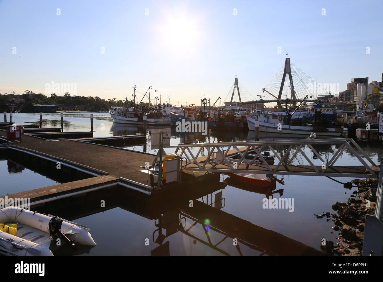 Fish Market in Sydney Stock Photo - Alamy