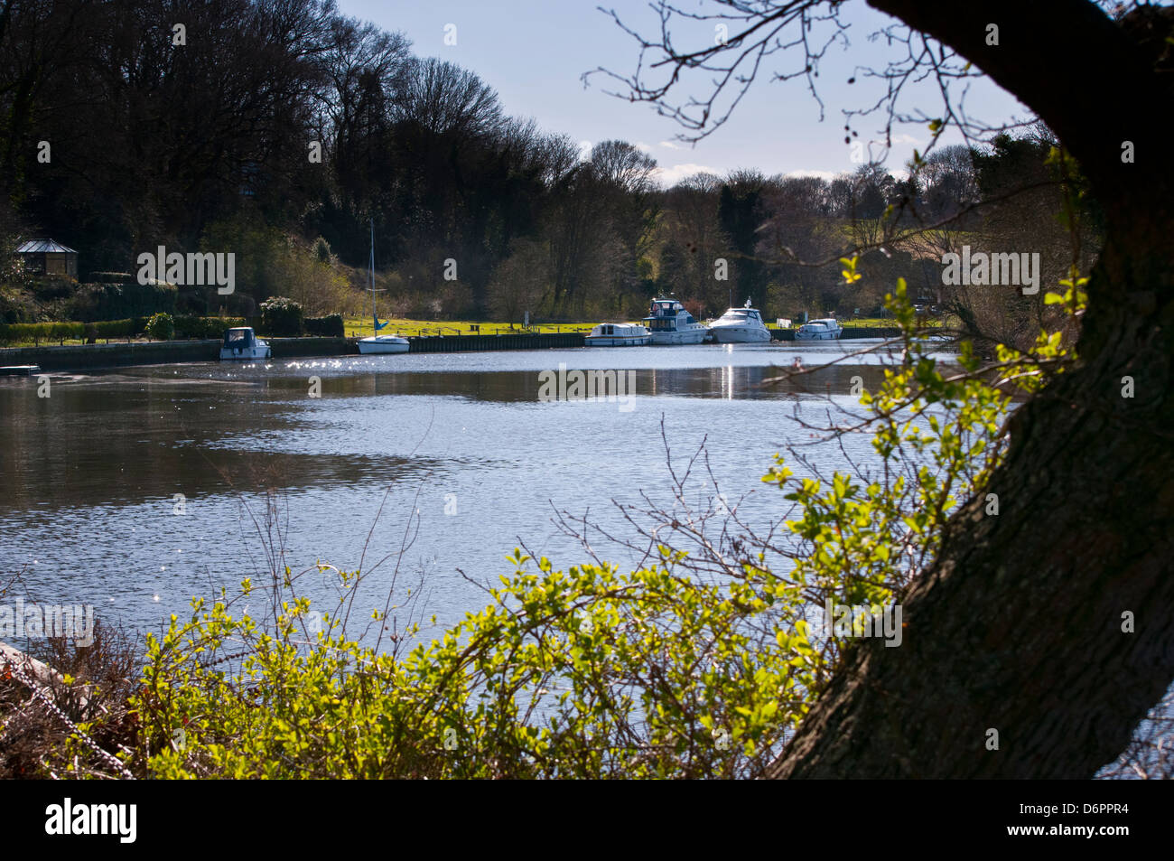 Bramerton hi-res stock photography and images - Alamy