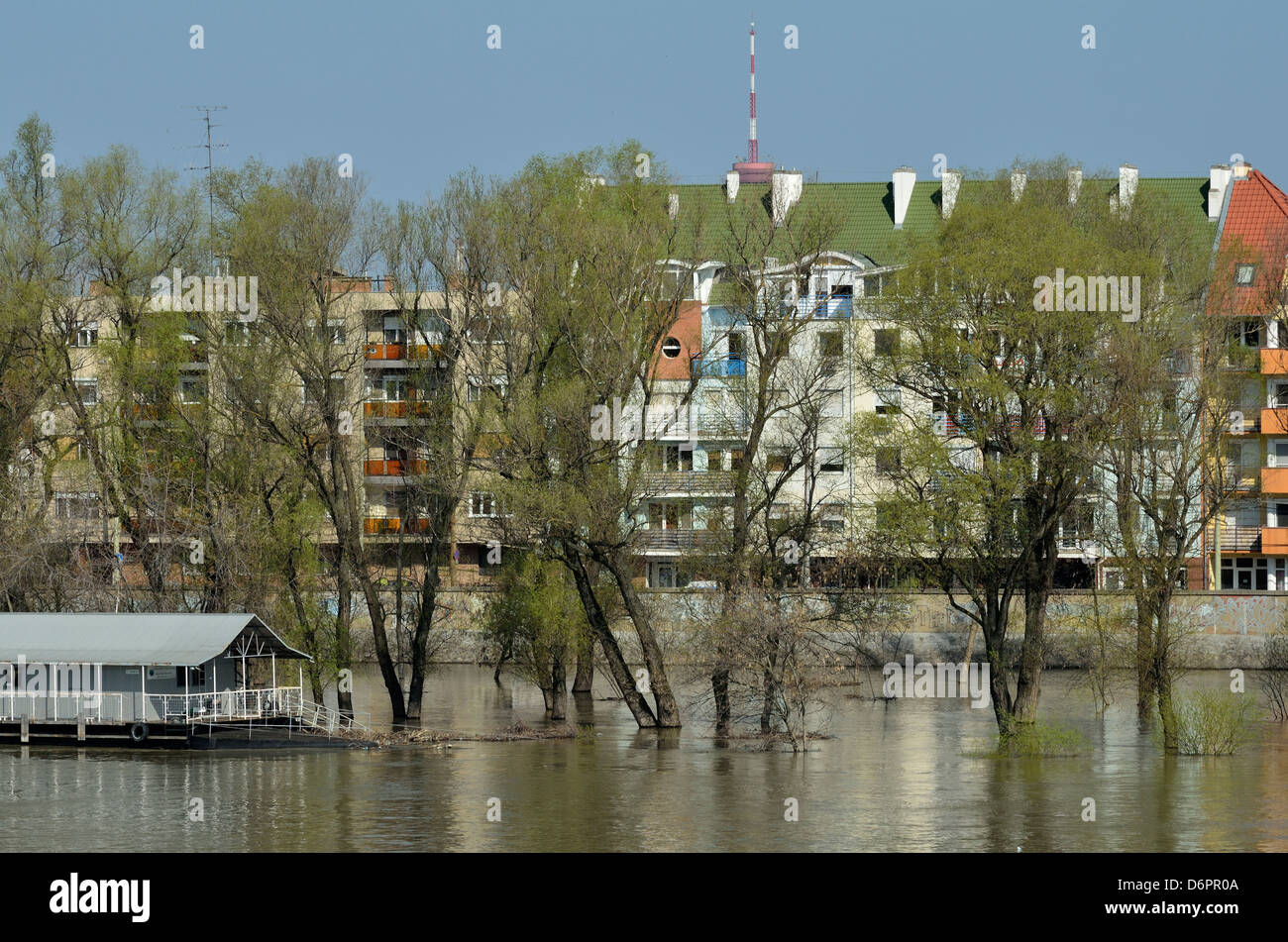 Flooding on the River Tisza at Szeged Hungary CEE Trees in flowing ...