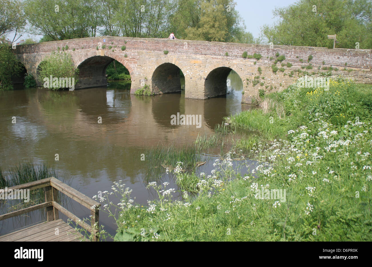 medieval bridge River Avon Pershore Worcestershire England UK Stock ...
