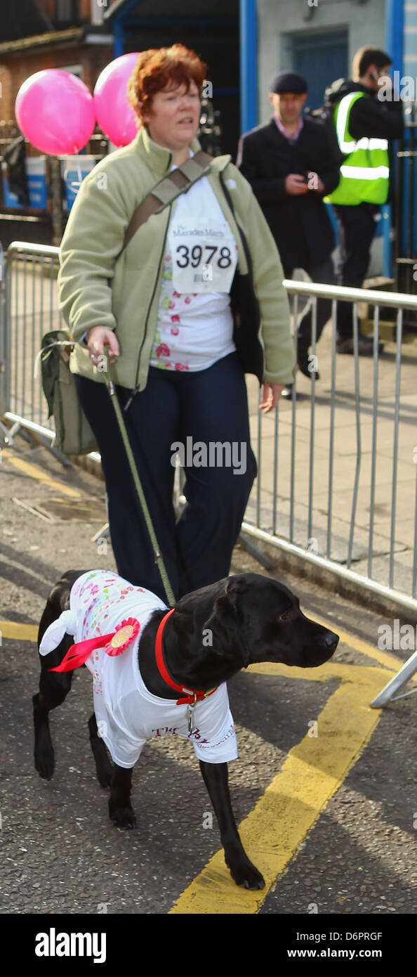 Royal marsden sutton hi-res stock photography and images - Alamy