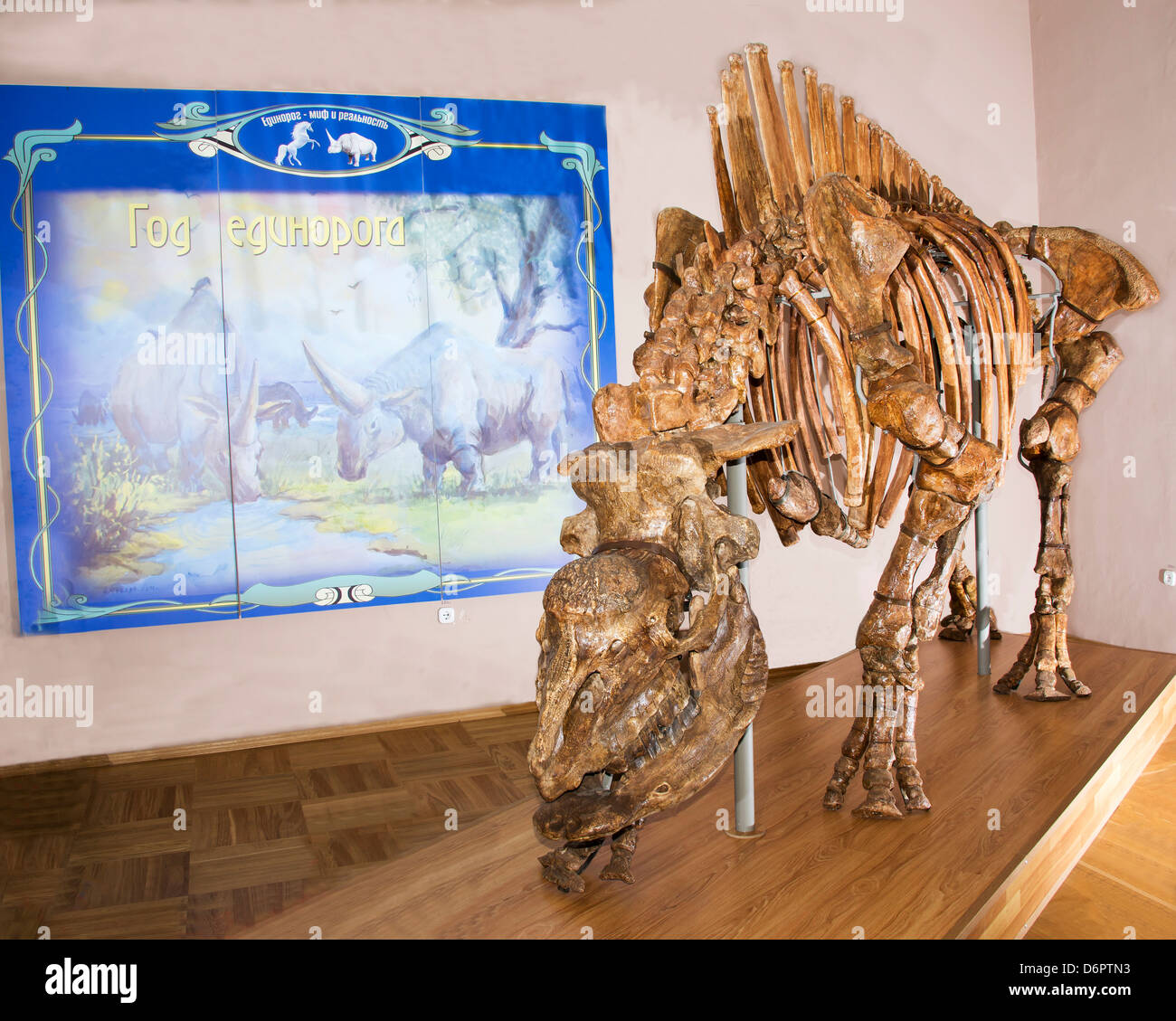 Elasmotherium High Resolution Stock Photography and Images - Alamy