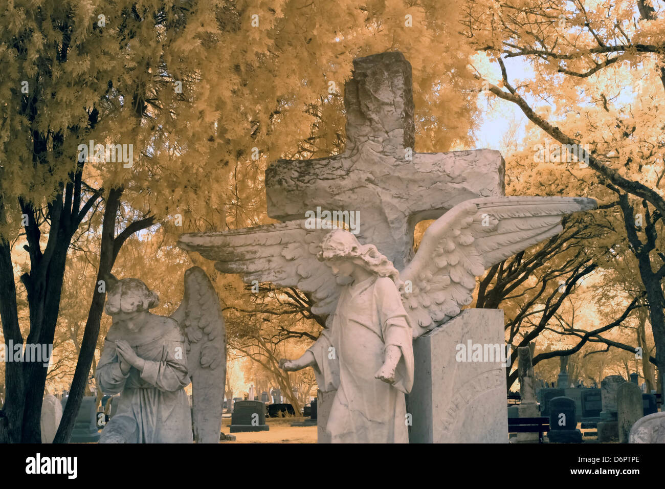 Mary Calvert High Resolution Stock Photography and Images - Alamy