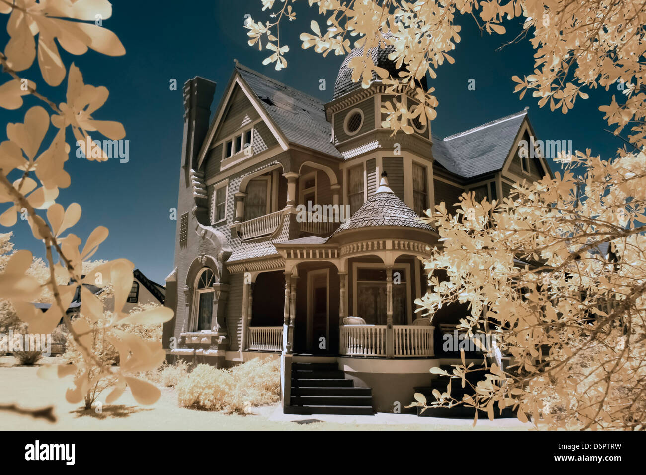 Parish plant bed hi-res stock photography and images - Alamy