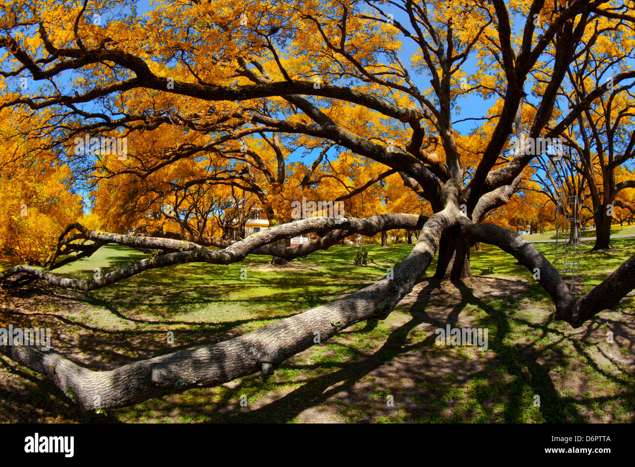 900 years of history hi-res stock photography and images - Alamy