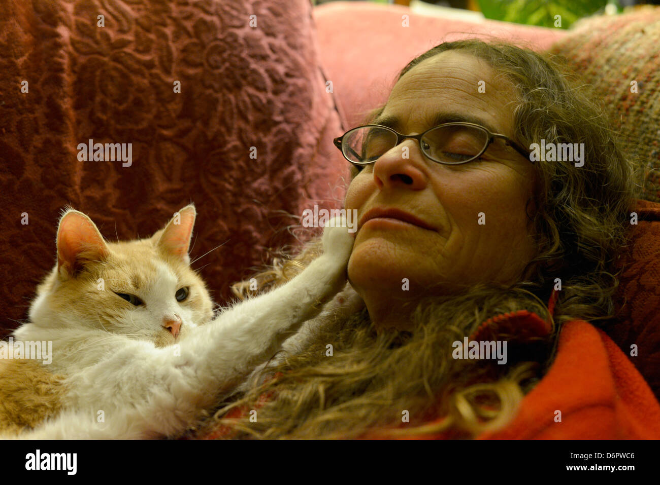 Woman and cat napping on couch Stock Photo - Alamy