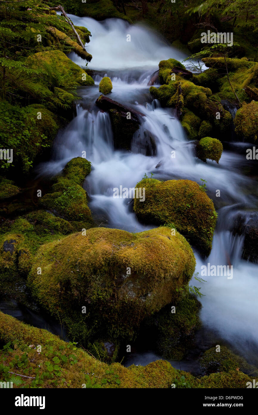 USA, Oregon, Oregon Waterfall in Cascade Range Stock Photo - Alamy
