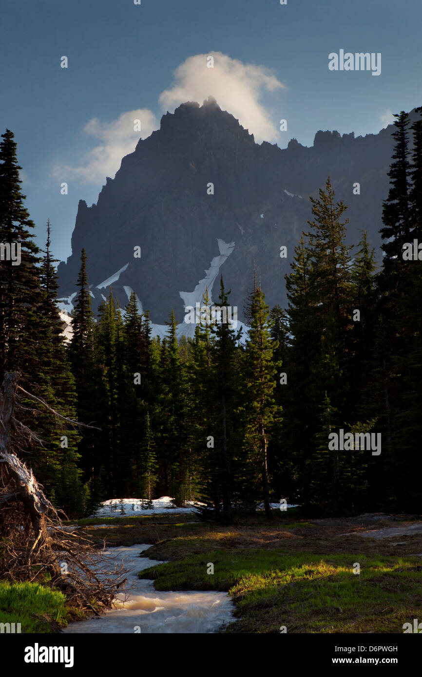 USA, Oregon, Deschutes National Forest, Oregon Cascade Range Stock ...