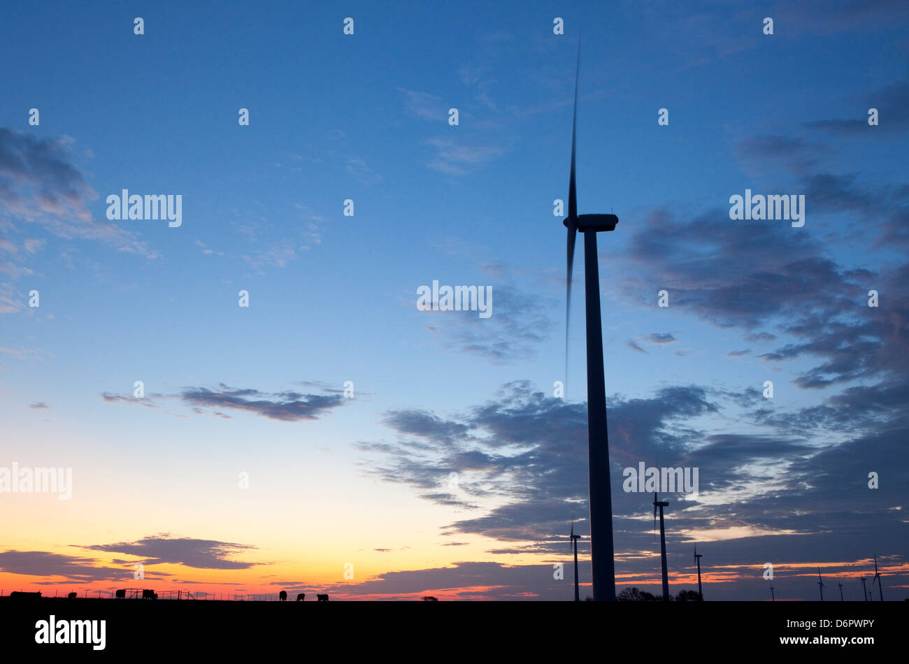 USA, Texas, Wind turbines at sunrise Stock Photo - Alamy