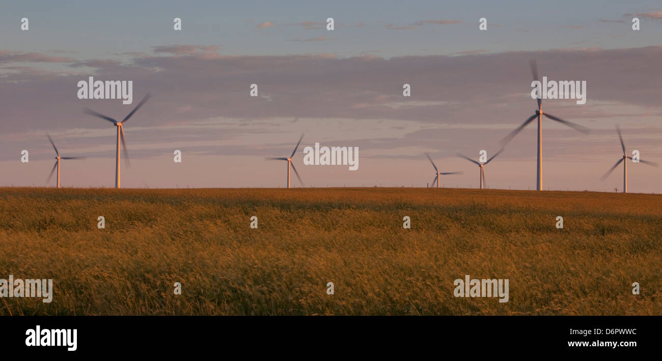 USA, Texas, Wind turbines at sunrise Stock Photo - Alamy