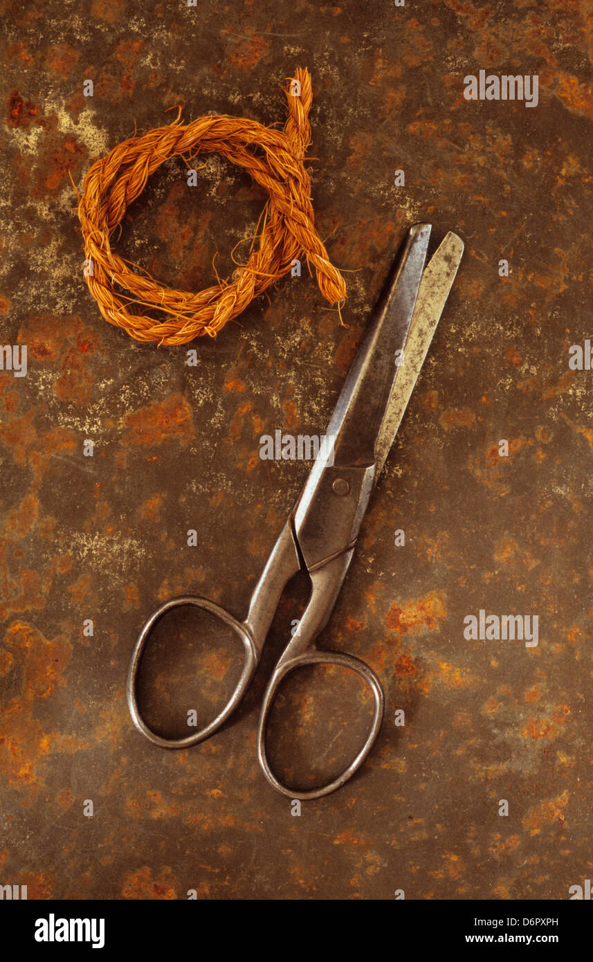 Scissors and coil of hairy string Stock Photo - Alamy