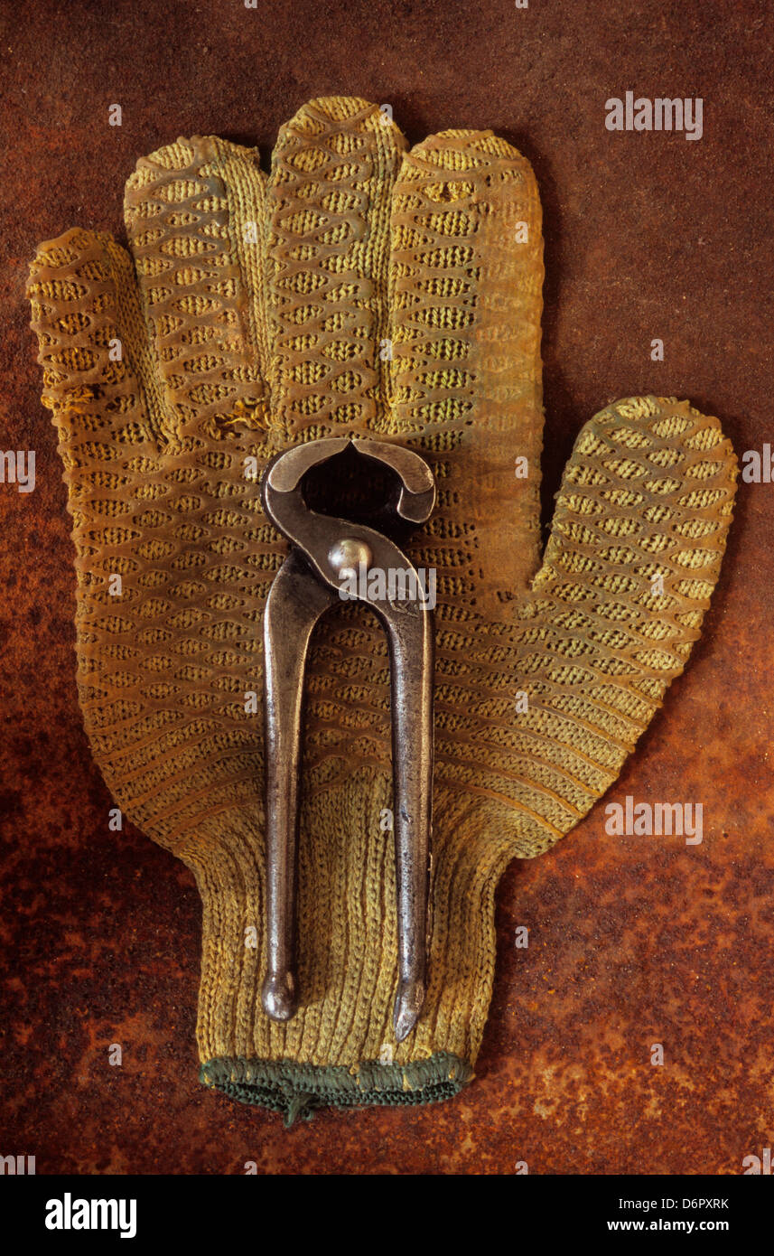Two pincers hi-res stock photography and images - Alamy