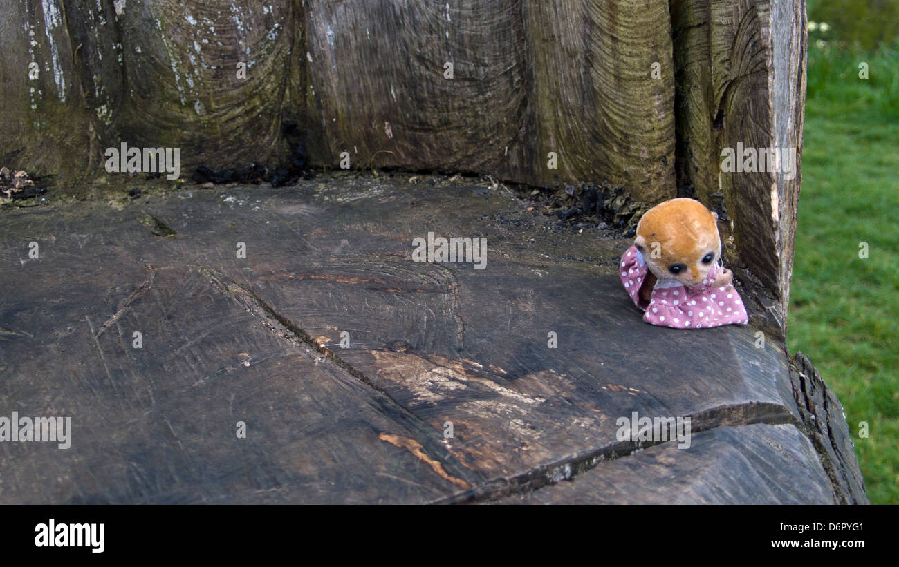 Child lost his toy hi-res stock photography and images - Alamy