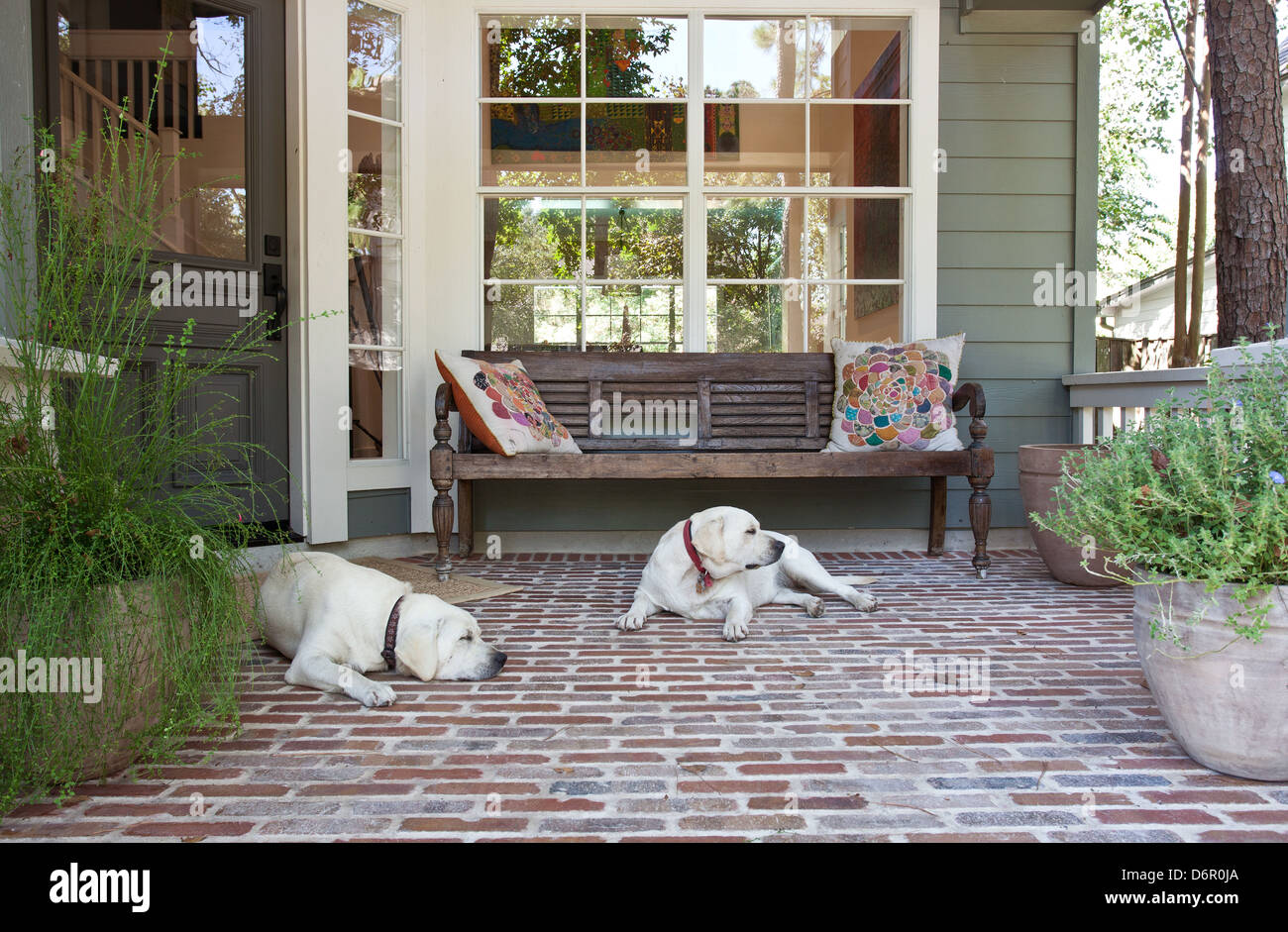 Lab interior architecture hi-res stock photography and images - Alamy