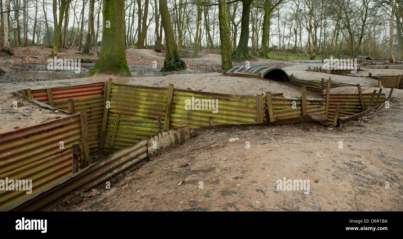 The World War One trench system at Sanctuary Wood near Ypres in Belgium ...
