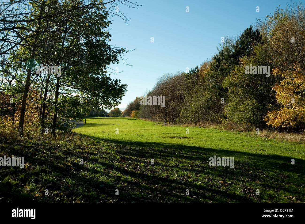 sun kissed tree lined field Stock Photo - Alamy