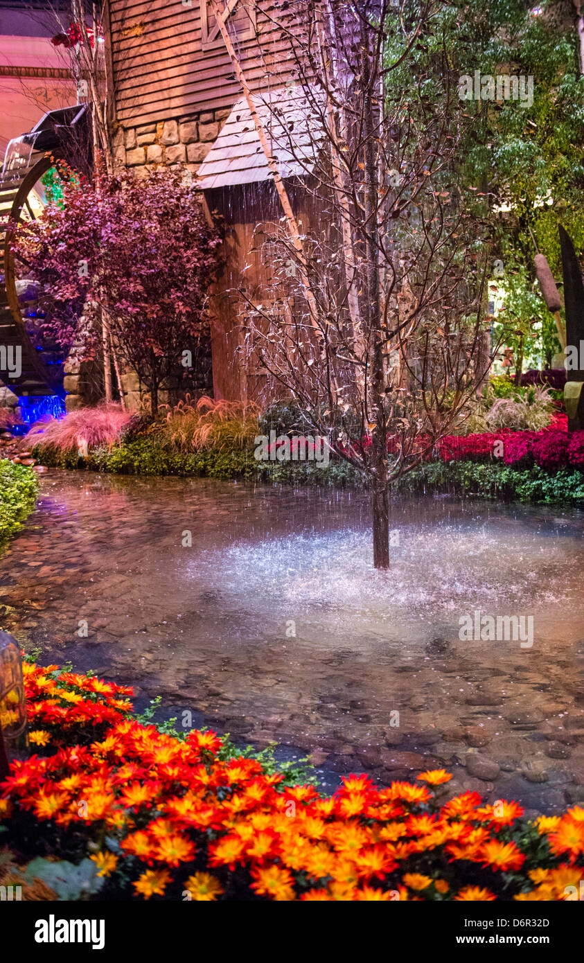 Fall season in Bellagio Hotel Conservatory & Botanical Gardens in Las ...