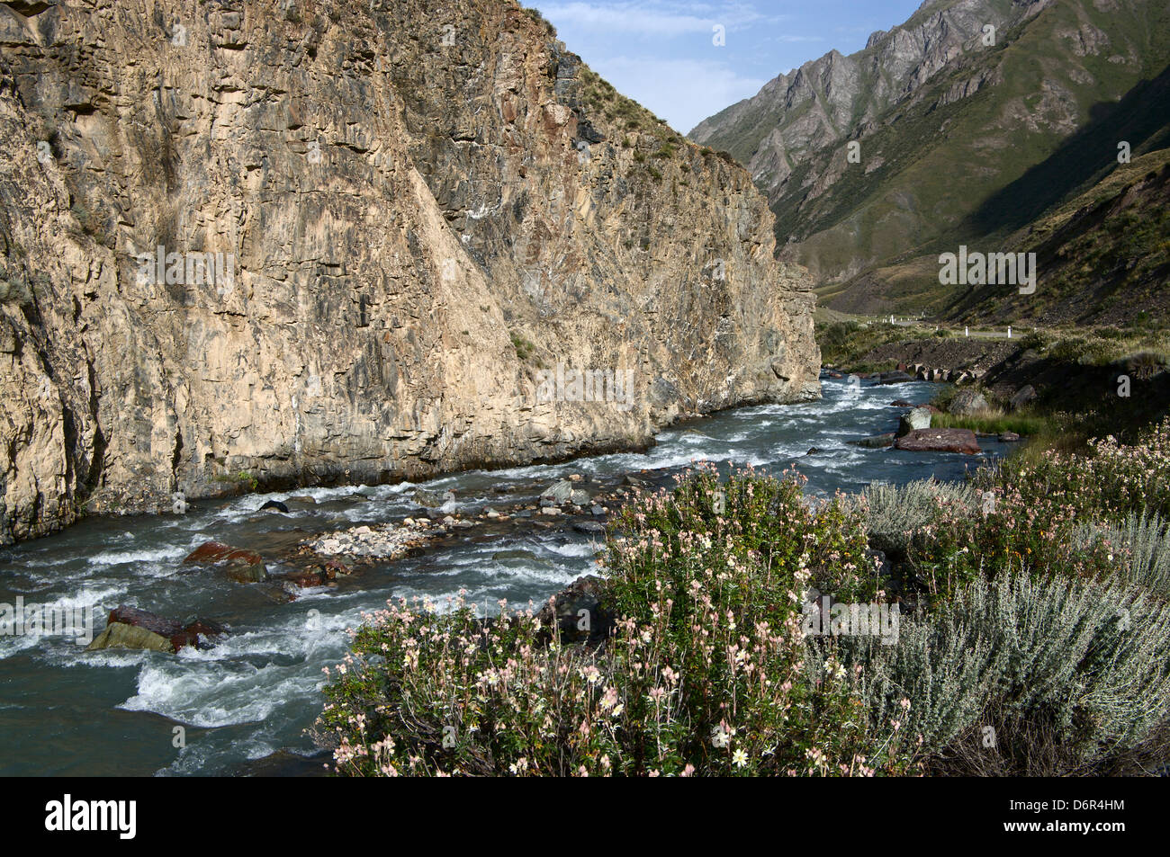 mountain river tien-shan Stock Photo - Alamy