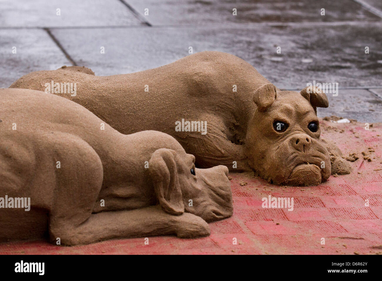 Close-up of carved, shaped, Sand Sculpture of two Dogs on the pavement ...