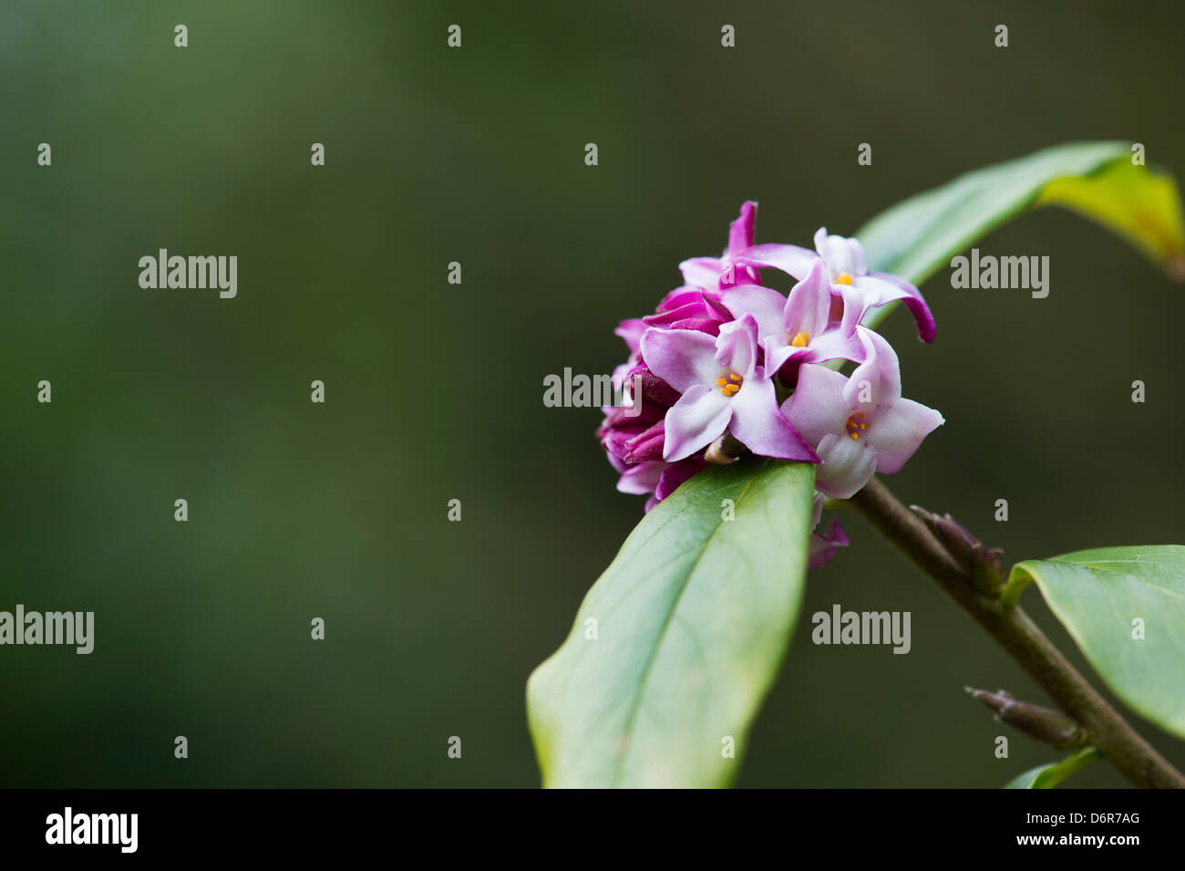 Sir peter smithers hi-res stock photography and images - Alamy